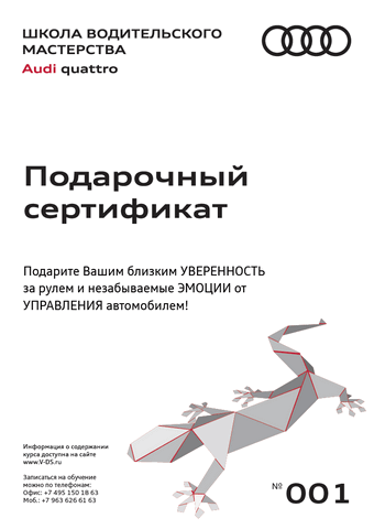 Подарочный сертификат на экстремальное вождение: купить онлайн, в офисе ...